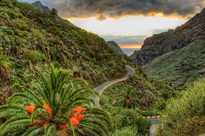 Tenerife Tour Mt. Teide and the Towns of Icod, Garachico, Masca - Key Points