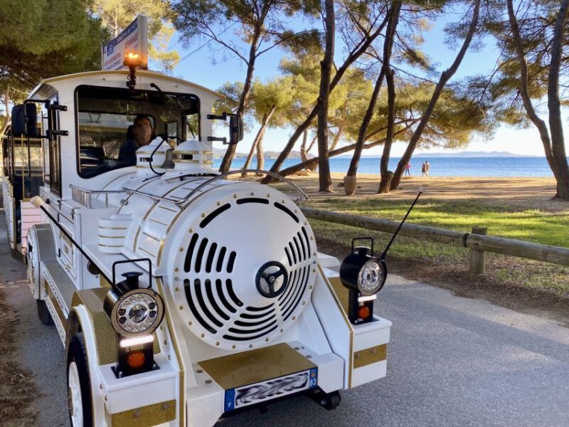 The Little Train of La Londe-les-Maures - Key Points