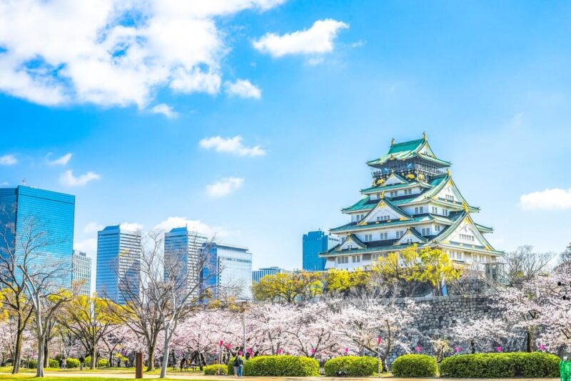 This Is the Best Walking Tour, All Must-Sees in Osaka! - Key Points