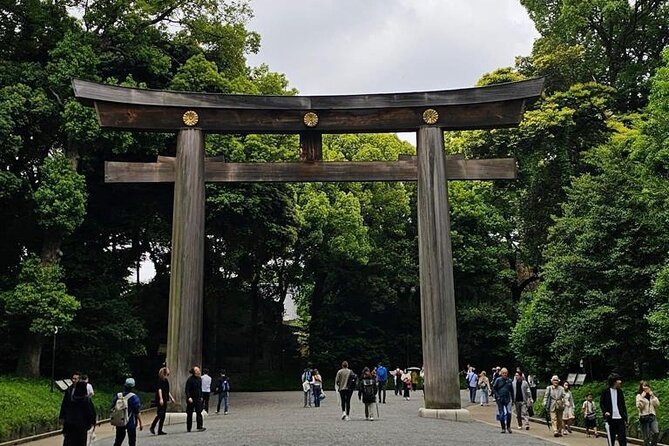 Tokyo Cherry Blossom Private One Day Tour - Highlights of the Tour