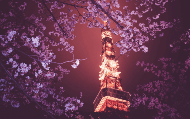 Tokyo City Private Tour With English Speaking Driver - Transportation and Amenities