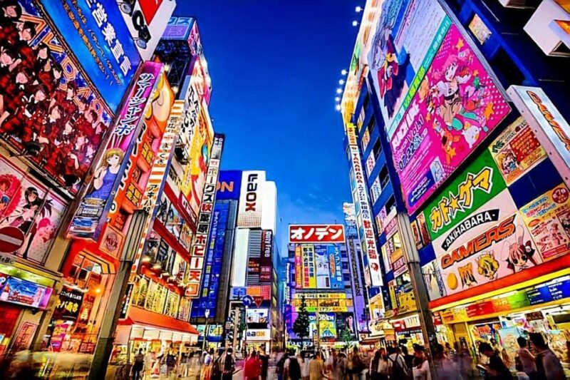 Tokyo: City Tour Tokyo With Driver - Key Points