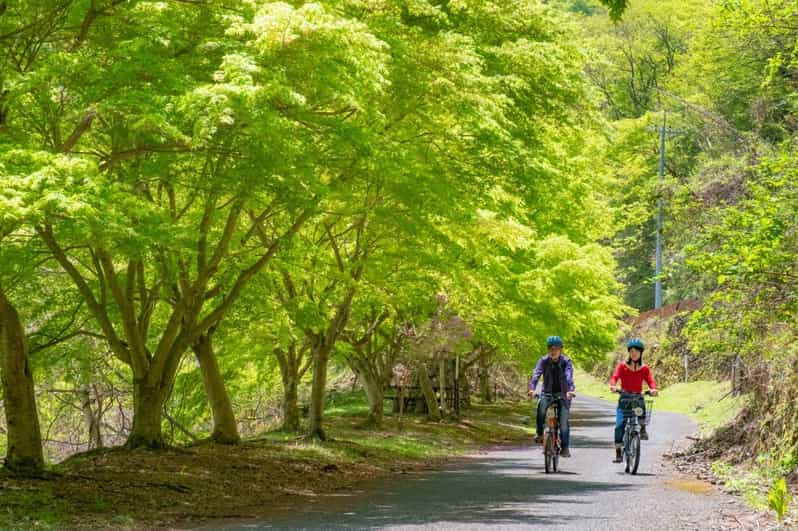 Tokyo: Escape the City to a Cultural Cycle in the Mountains. - Key Points