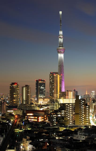 Tokyo: Full Day Private Tour With an English Speaking Driver - Key Points
