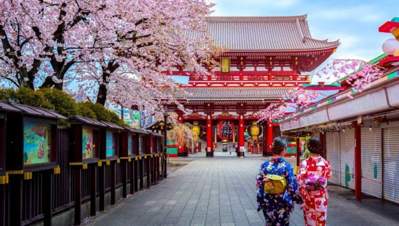 Tokyo: Full Day Private Walking Tour With a Guide - Key Points