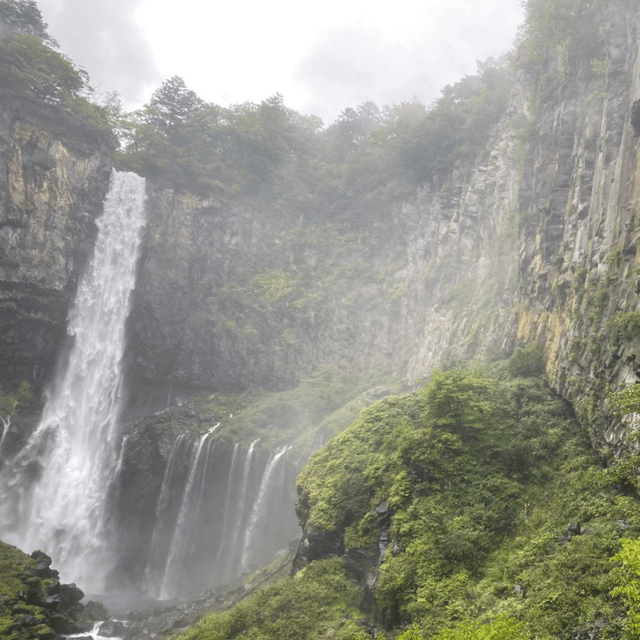 Tokyo: Luxury Nikko Private 1 Day Tour Low Price Guaranteed - Key Points