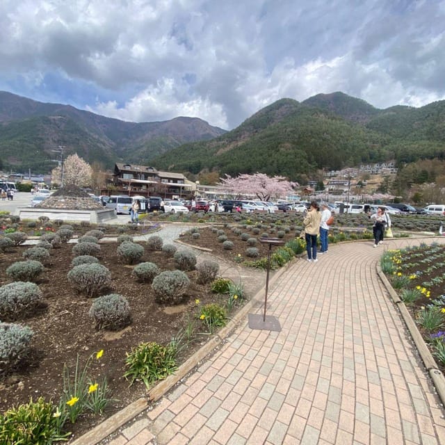 Tokyo: Mount Fuji & Hakone Private Car Day Tour Lowest Price - Key Points