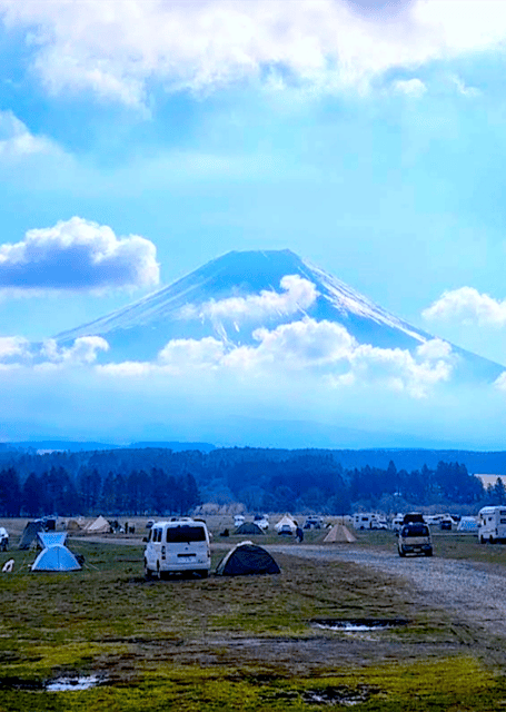 Tokyo: Mount Fuji Tour and Hakone Sakura Cherry Blossom Trip - Key Points