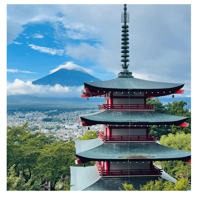 Tokyo: Mt Fuji Prado Private Tour By English-Speaking Driver - Vehicle and Amenities
