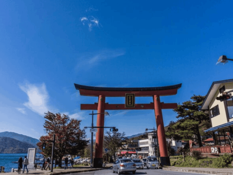 Tokyo: Nikko World Heritage Private Day Trip With Pickup - Transportation and Accessibility