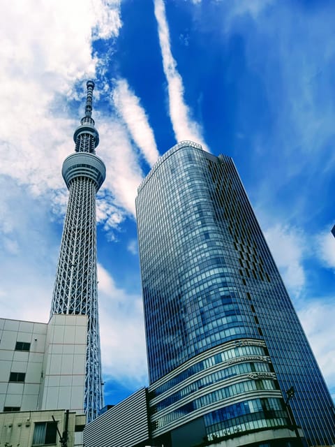 Tokyo One Day Private Tour With English Speaking Driver - Key Points