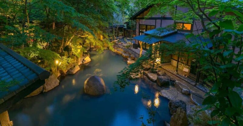 Tokyo: Onsen, Arts, and Nature Day Trip to Fuji and Hakone - Key Points