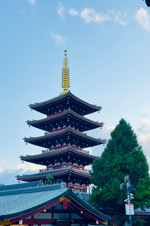 Tokyo: Private & Customizable Tour W/English Speaking Guide - Key Points