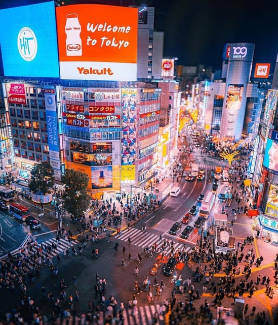 Tokyo: Private Guided Tour With Hotel Pick-Up and Drop-Off - Key Points