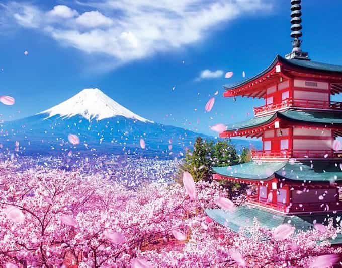 Tokyo: Private Mount Fuji and Hakone Day Trip With Guide - Key Points