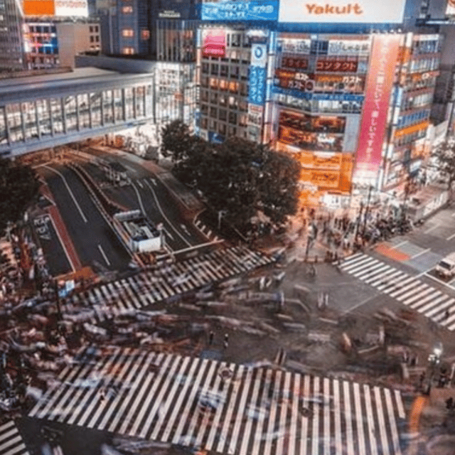 Tokyo: Private Tokyo City Day Tour Low Price Guaranteed - Key Points