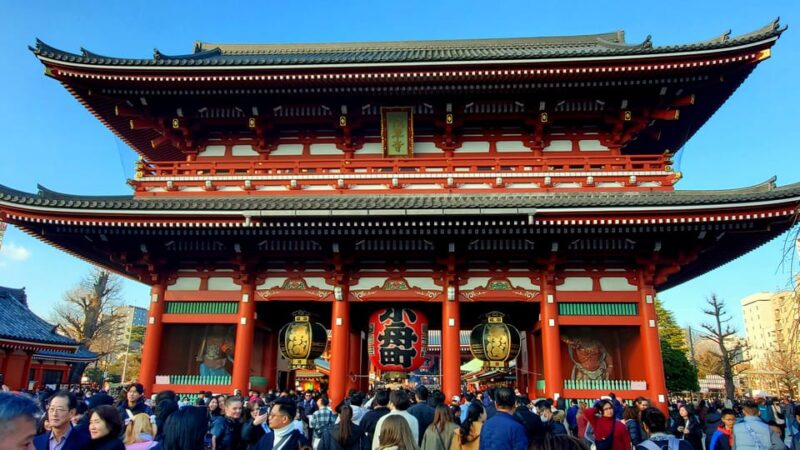 Tokyo Private Tour/English Driver GREEN NUMBER PLATES - Key Points