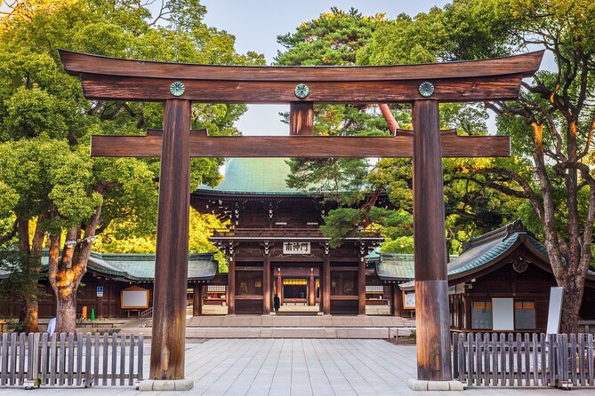 Tokyo Small Group Tour With Guide - Key Points