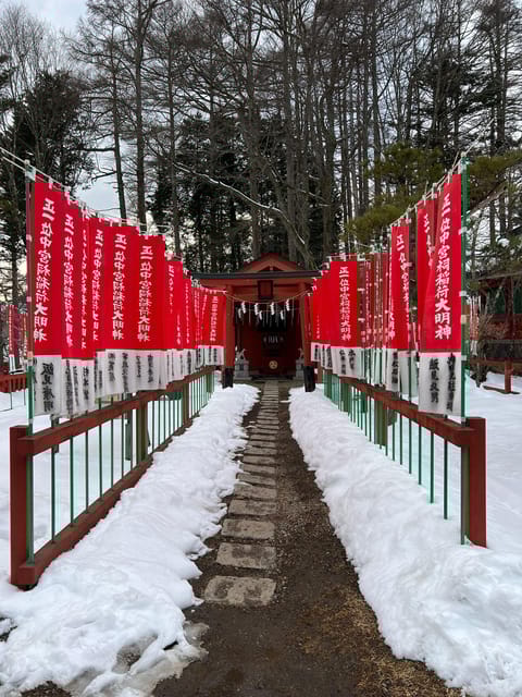 Tokyo: Snow Monkey Park and Zenkoji Temple Private Day Tour - Transportation and Amenities