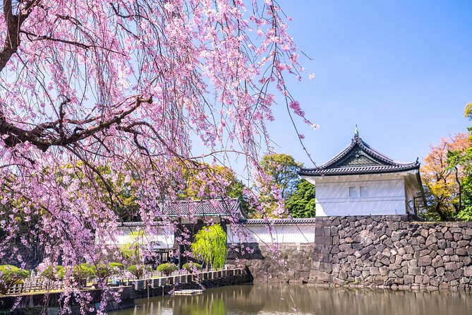 Tokyo, The East Garden of the Imperial Palace 2h Walking Tour - Key Points