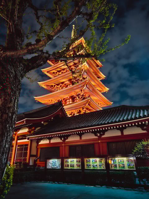 Tokyo to Mount Fuji A Full Day Private Tour From Tokyo - Key Points