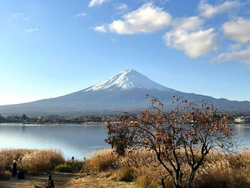 Tokyo to Mt Fuji 5 Lakes Private Tour Green Number Plate Car - Key Points