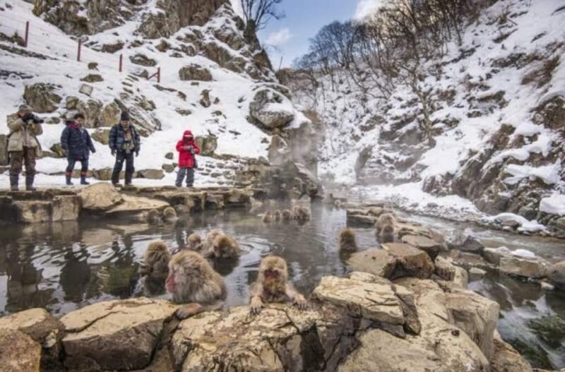Tokyo To Nagano (Snow Monkey Zenkoji Temple Private Tour) - Key Points