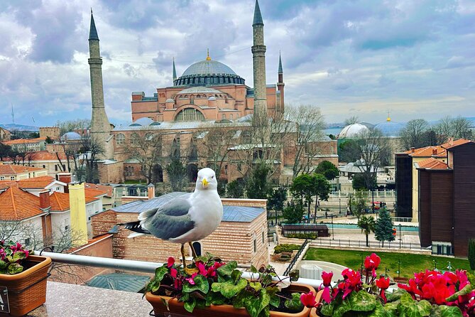 Tour With Guide Taha - Key Points