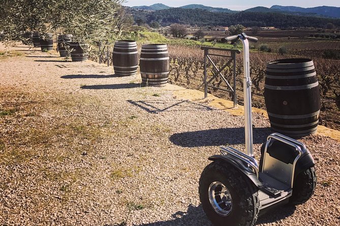 Vineyard Visit in Gyropod, Visit of Cave & Tasting Wines of Bandol - Key Points