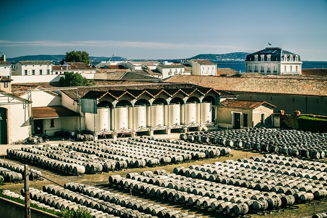 VIP Tour of the Cellars, Wine and Vermouth Tastings - Key Points