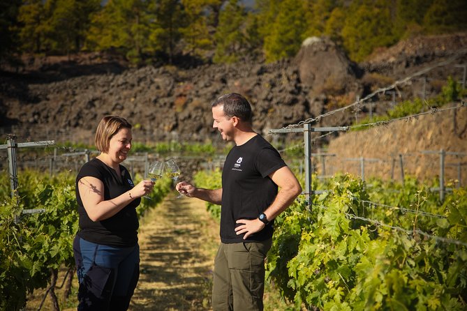 Visit to Arafo Mountain Vineyard and Organic Wine Tasting - About Your Stay