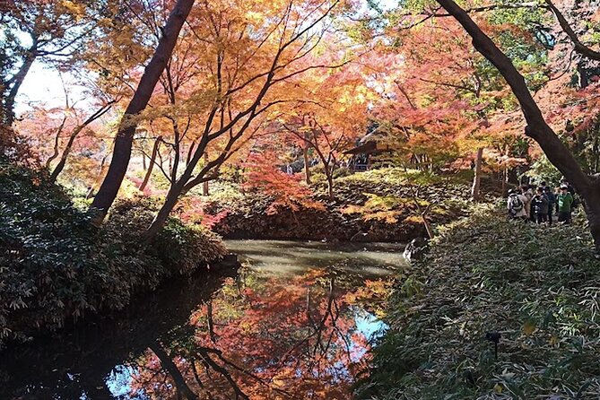 Walking Tour, Tokyo Great Buddha, Botanical Garden, Etc. - Key Points