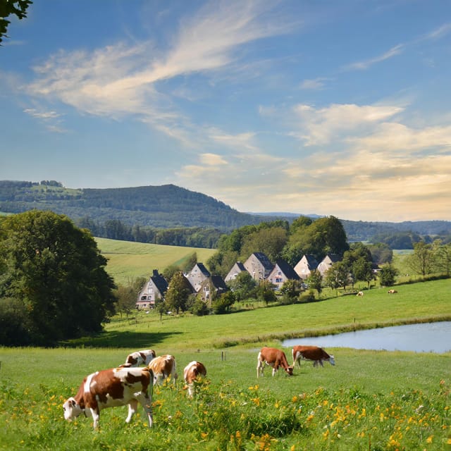 Zurich Private Tour to Liechtenstein and Heidiland - Key Points