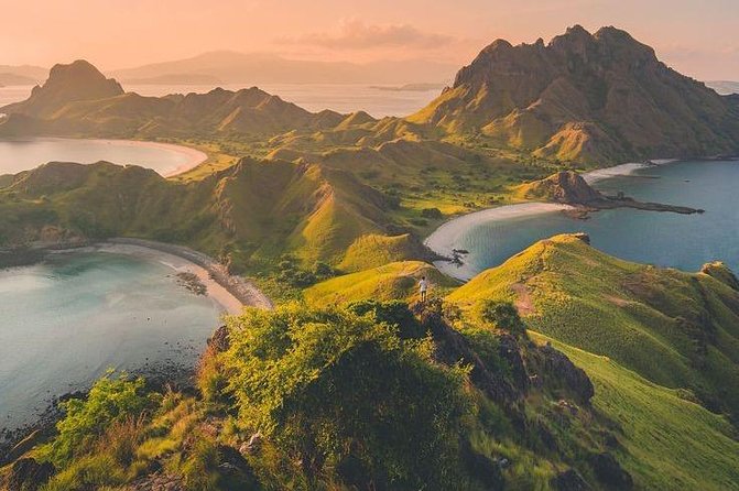 1 Day Komodo Trip By Shared Fast Boat - What’s Included and What’s Not