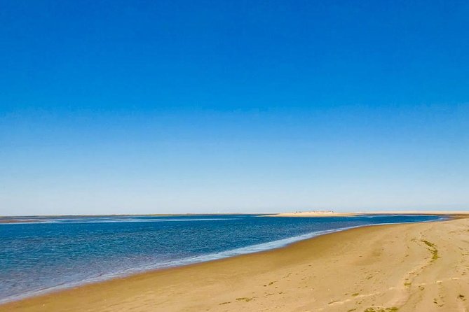 1 or 2 Hour Speed Boat Tour - Ria Formosa - Meeting and Pickup Details