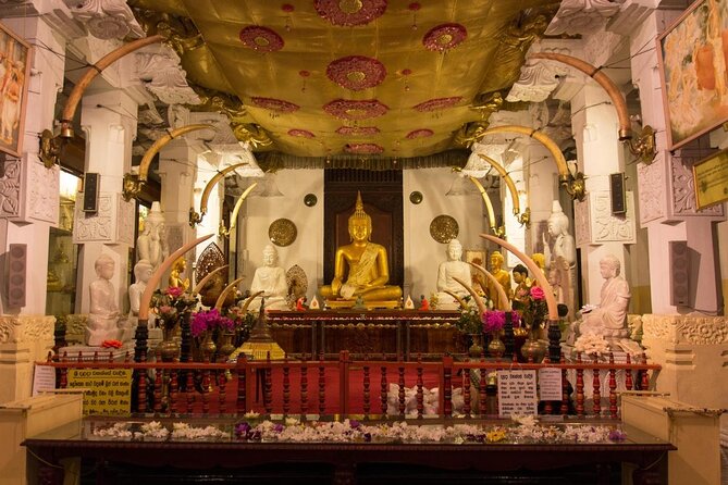 14 Days Sri Lanka ALL in One Classic Tour - Key Points