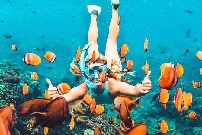 All Inclusive : Bali Blue Lagoon Snorkeling, Lunch, and Transport - Lunch and Additional Comforts