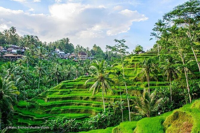 Bali Private inclusive tour: Best of Ubud in a Day - What’s Included and What’s Not