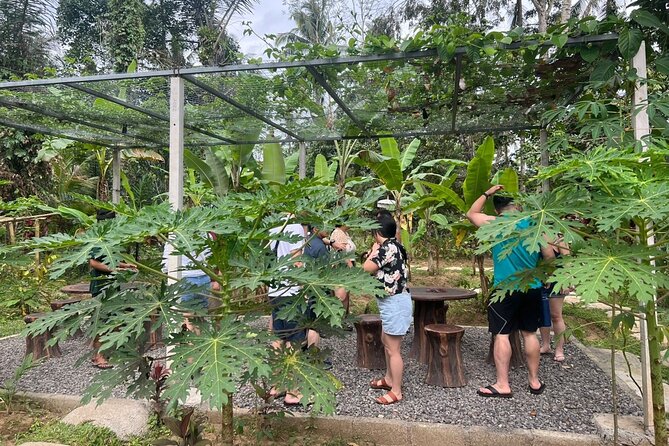 Balinese Cooking Class with Traditional Market Tour - Who Is This Tour Best For?