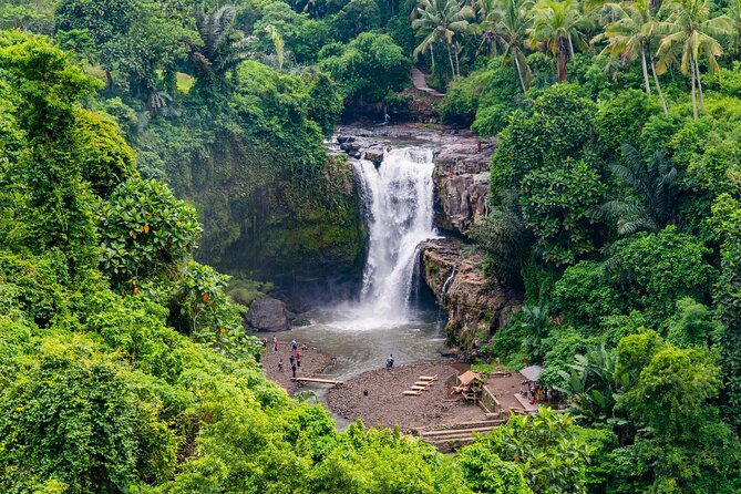 Best of Bali Tour - All Inclusive - What to Expect in Terms of Duration, Value, and Comfort