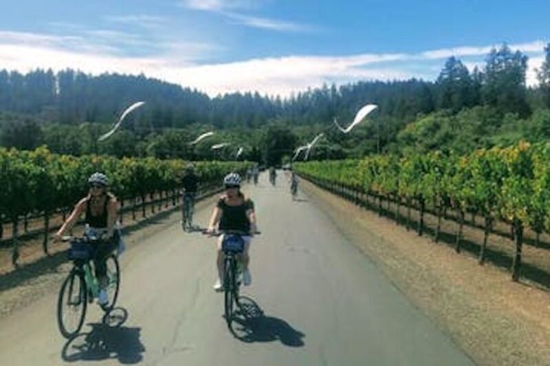 Calistoga: Napa Valley Cycling and Winery Tour with Picnic - What You Get and What You Pay For