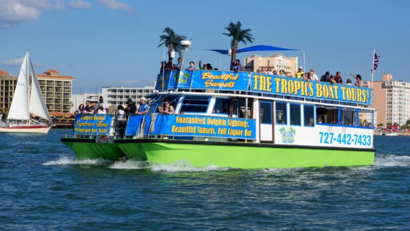 Clearwater: Cruise with Guaranteed Dolphin Sightings - Authentic Experiences and Traveler Feedback