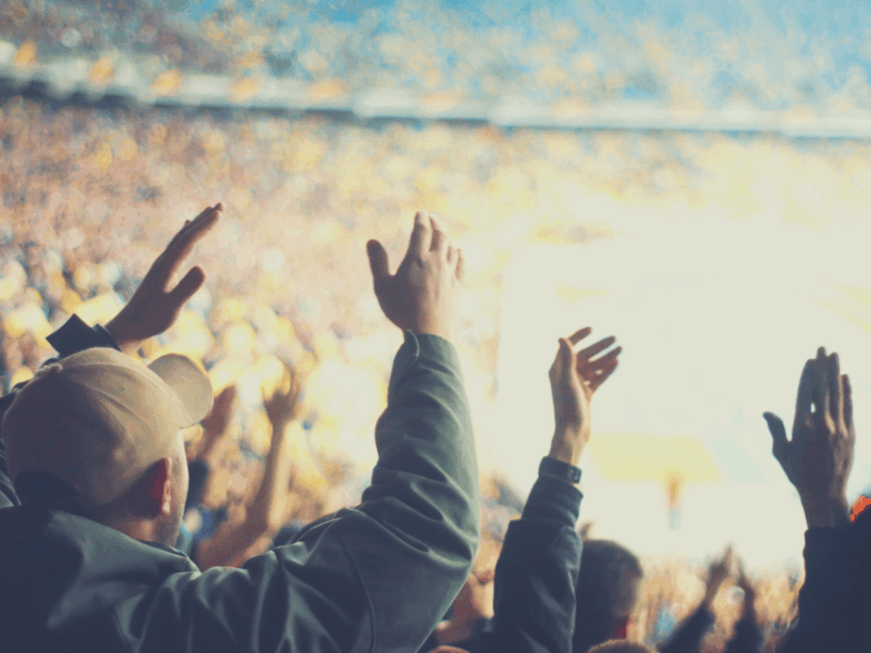 Detroit: Detroit Lions Football Game at Ford Field - What’s Not Included