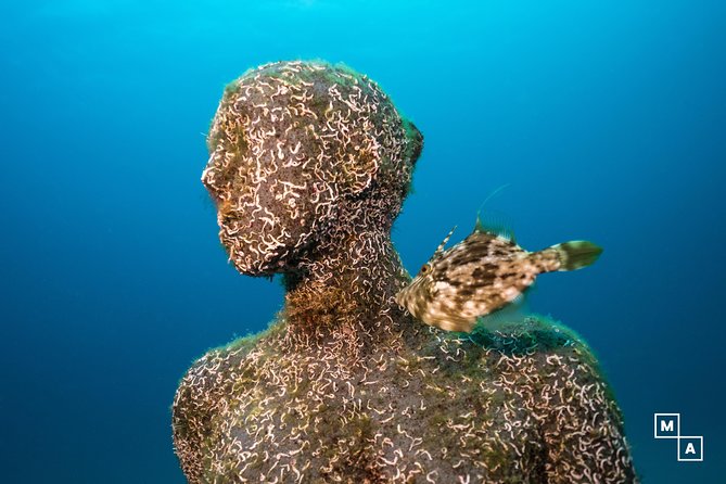 Discover the Underwater World of Lanzarote - Tour Details