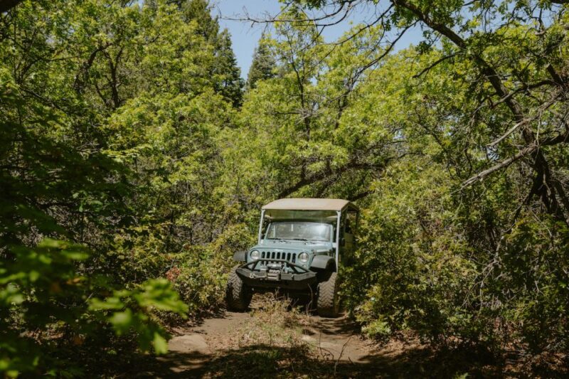 East Zion: Brushy Cove Jeep Adventure - Who Would Enjoy This Tour?