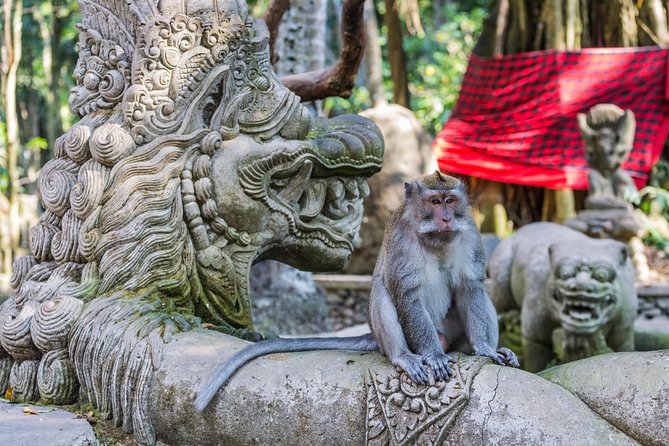 Full-Day Ayung River White Water Rafting and Ubud Tour - Witnessing Tegenungan Waterfall