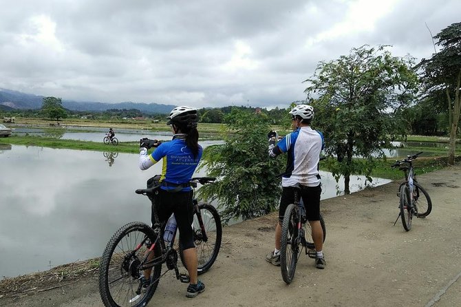 Half Day Cycling Tour to the White temple - Final Thoughts