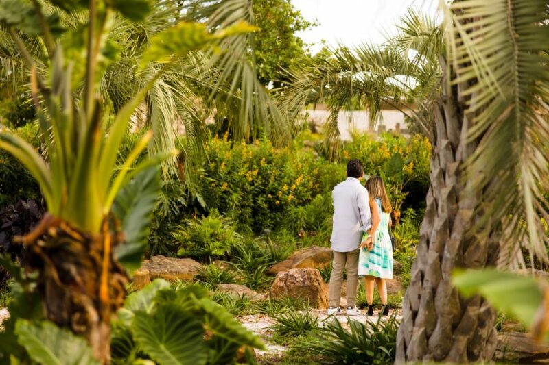 Houston: Houston Botanic Garden Entry Ticket - What You Can Expect During Your Visit