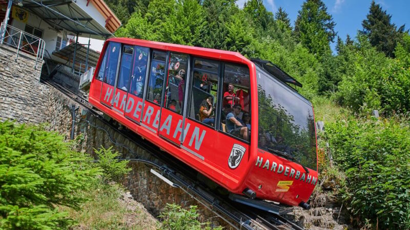 Interlaken: Private Day Trip to Harder Kulm and Grindelwald - Inclusions and Additional Information