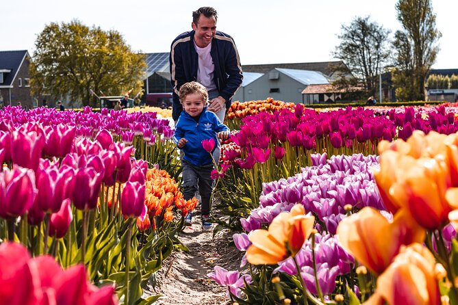 Keukenhof Gardens & Tulip Experience Tour from Amsterdam - The Optional Canal Cruise
